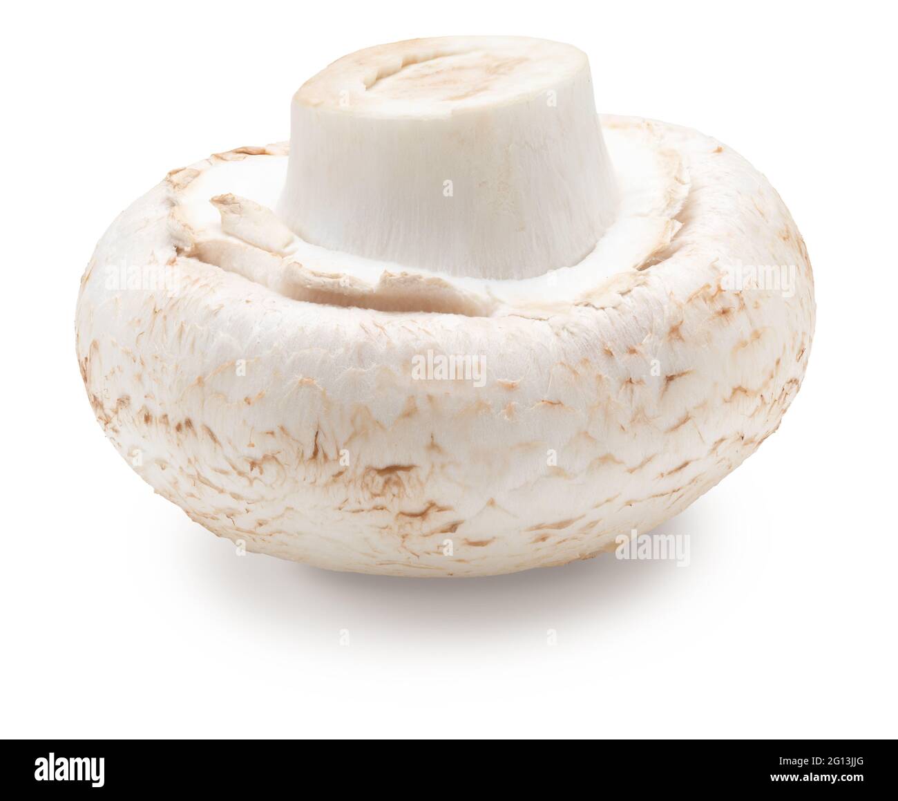 Champignons entiers (champignon, pied coupé, Agaricus bisporus) et crus ...