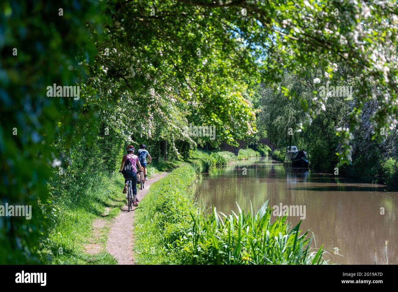 Promenade en vélo en famille à travers la campagne anglaise le long du ...
