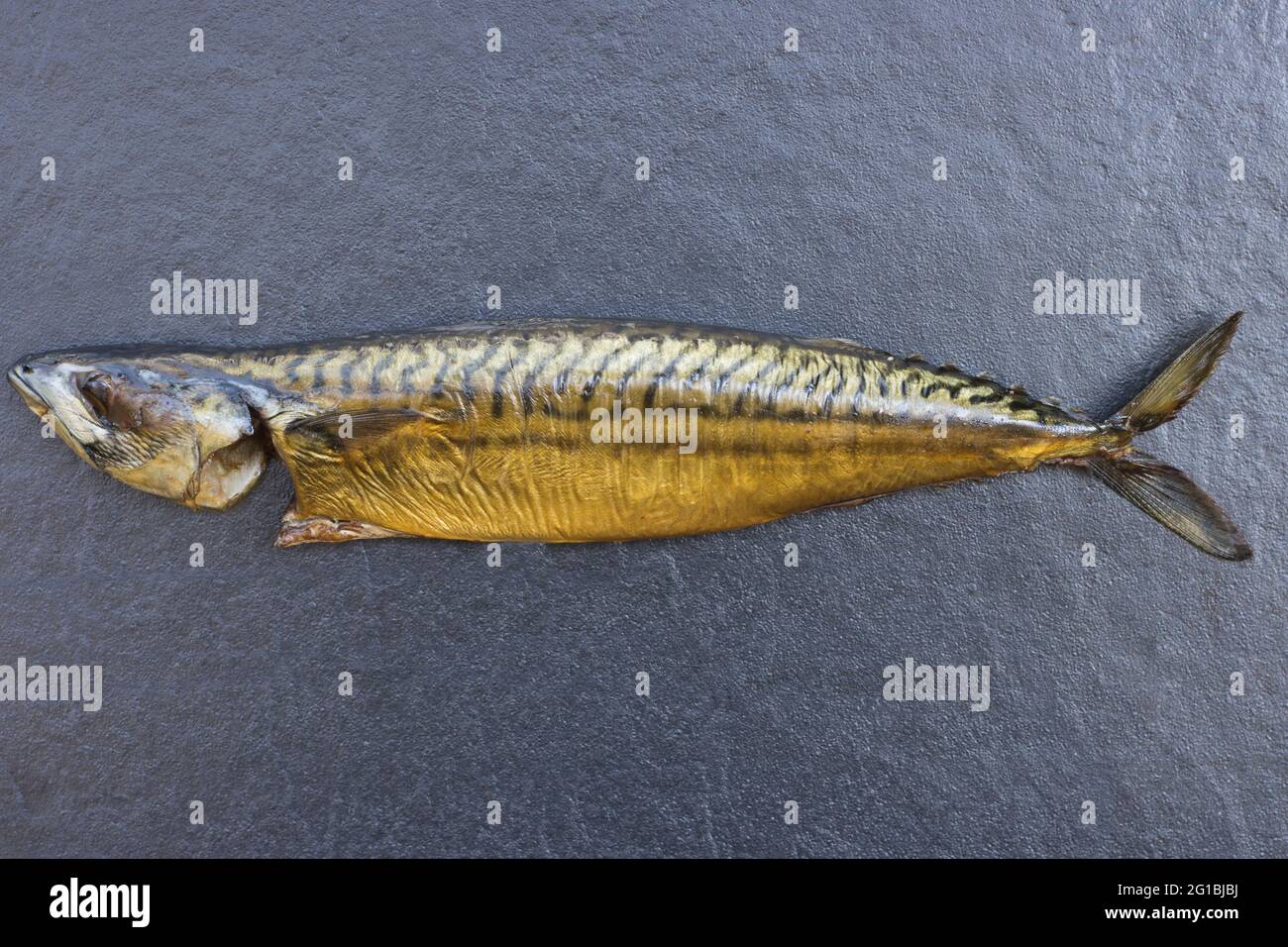 Poisson maquereau atlantique Banque de photographies et d’images à ...