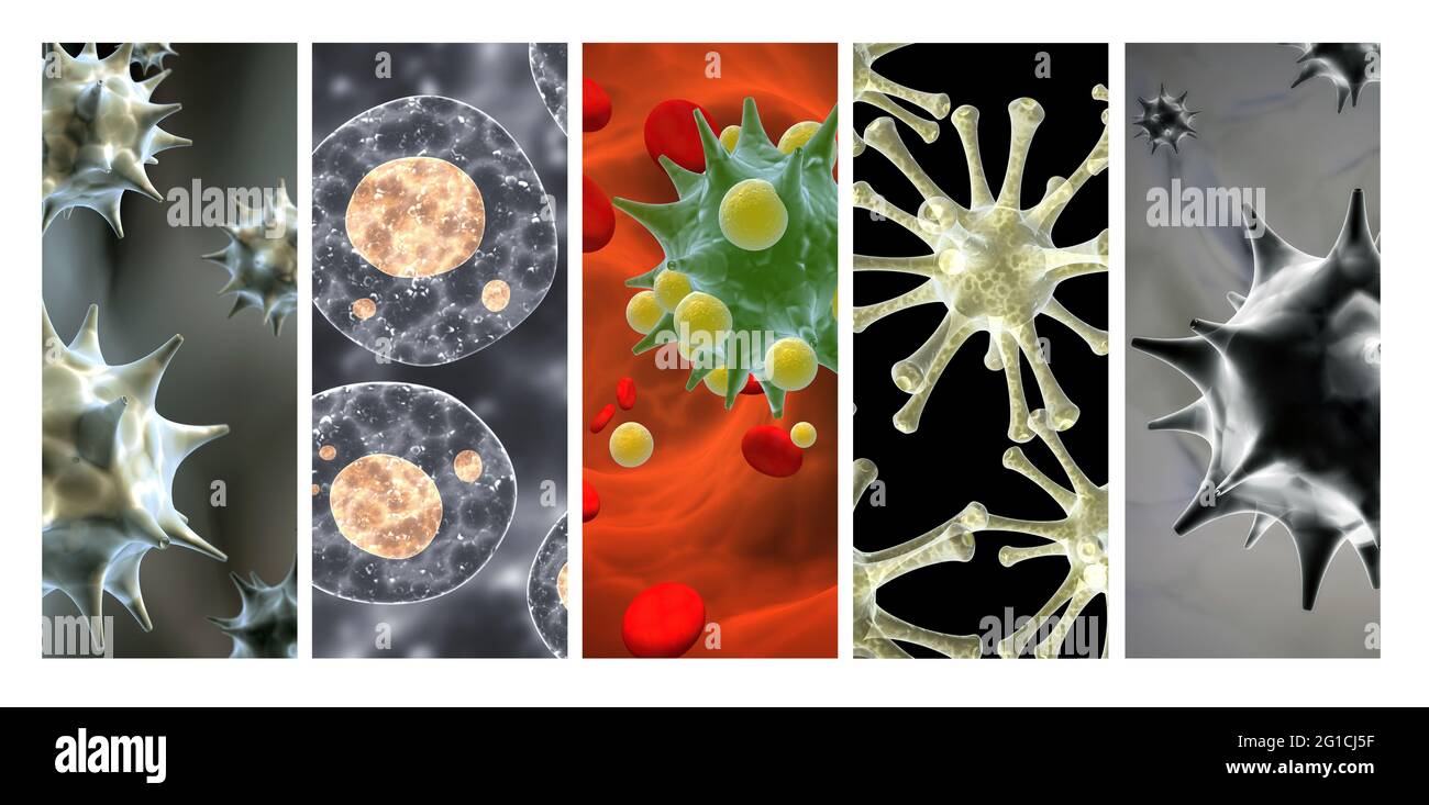 Bacteria under microscope Banque d'images détourées - Alamy