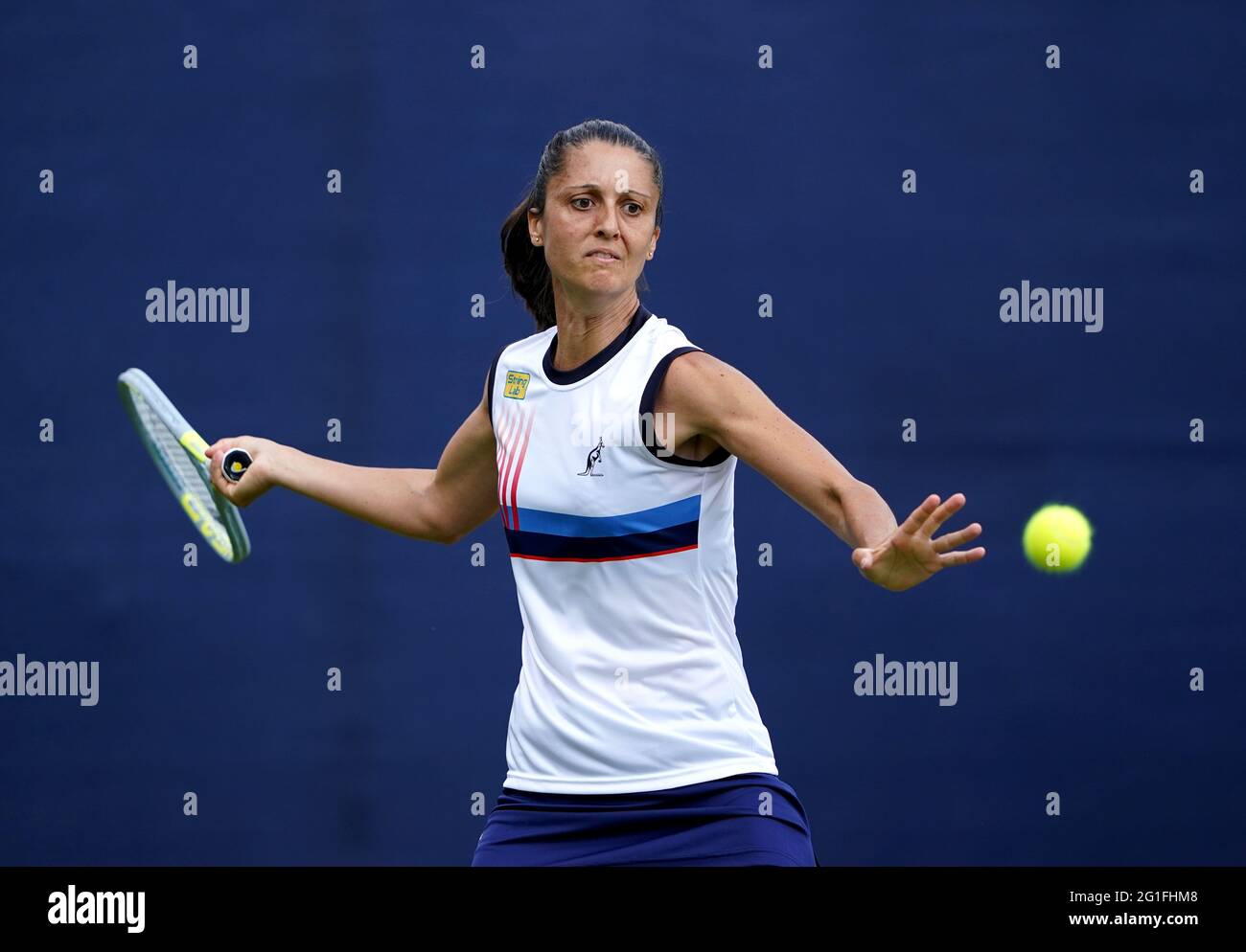 Giulia gatto monticone Banque de photographies et d’images à haute ...
