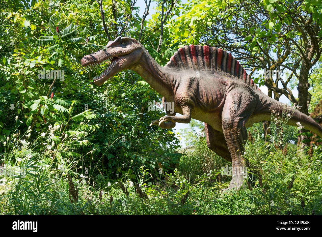 Spinosaurus aegyptiacus Banque de photographies et d’images à haute résolution - Alamy