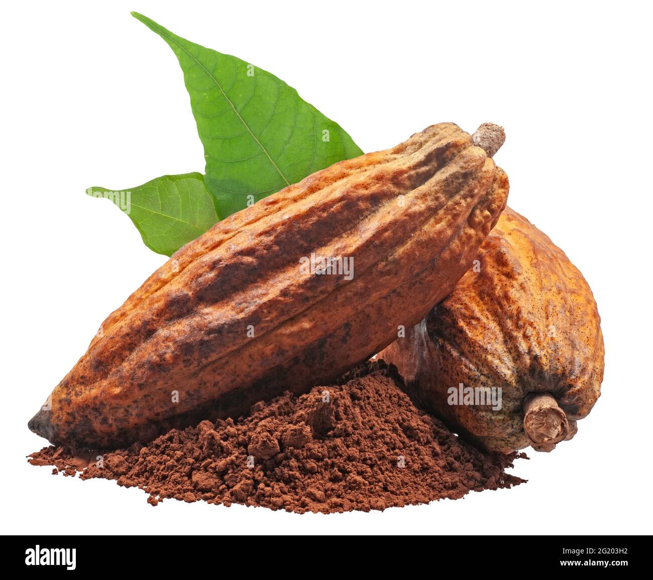 Fruits of the coca plant Banque de photographies et d’images à haute ...