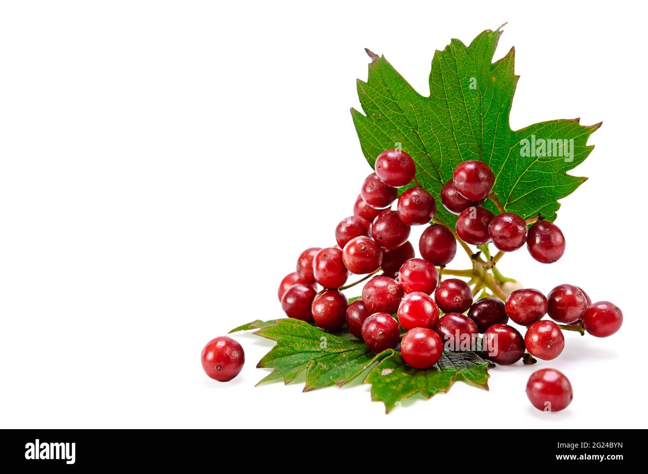 Potager bois Banque d'images détourées - Alamy