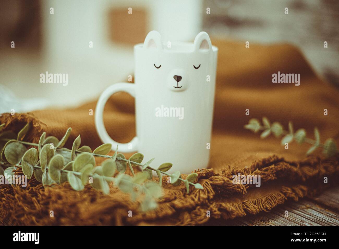 Coupe animal Banque de photographies et d’images à haute résolution - Alamy