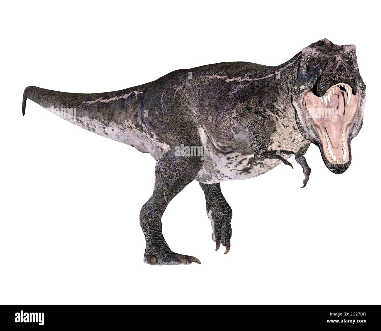 Side view tyrannosaurus rex dinosaur Banque de photographies et d’images à haute résolution - Alamy