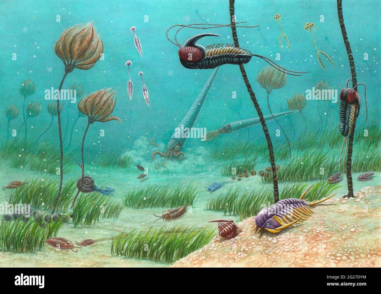 Paysages marins avec différentes espèces de trilobites, de graptolites ...