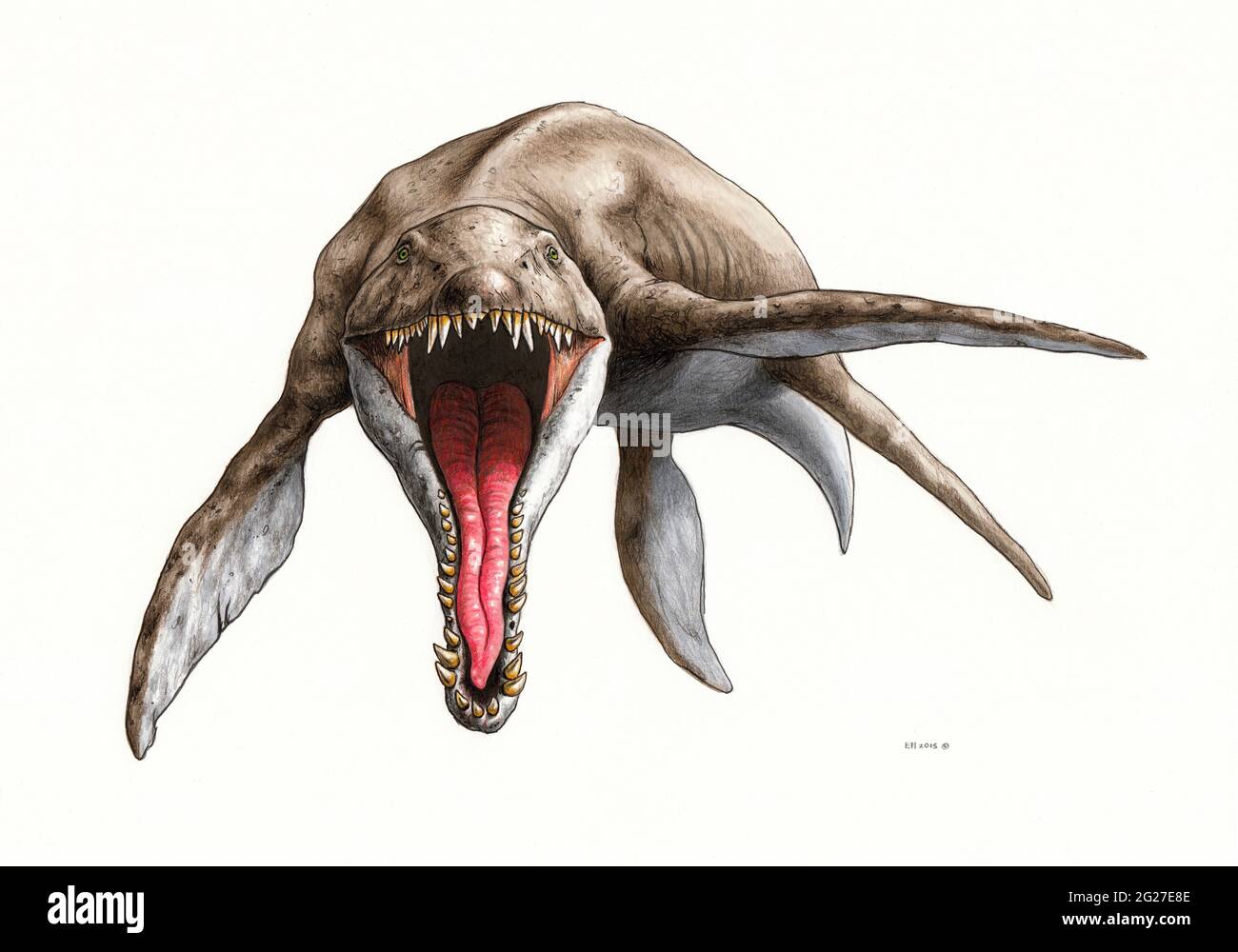 Dessin animal menaçant Banque de photographies et d’images à haute ...
