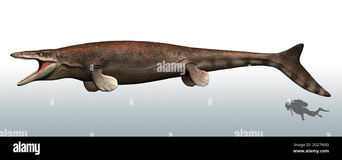 Historia natural de la especie humana Banque de photographies et d ...