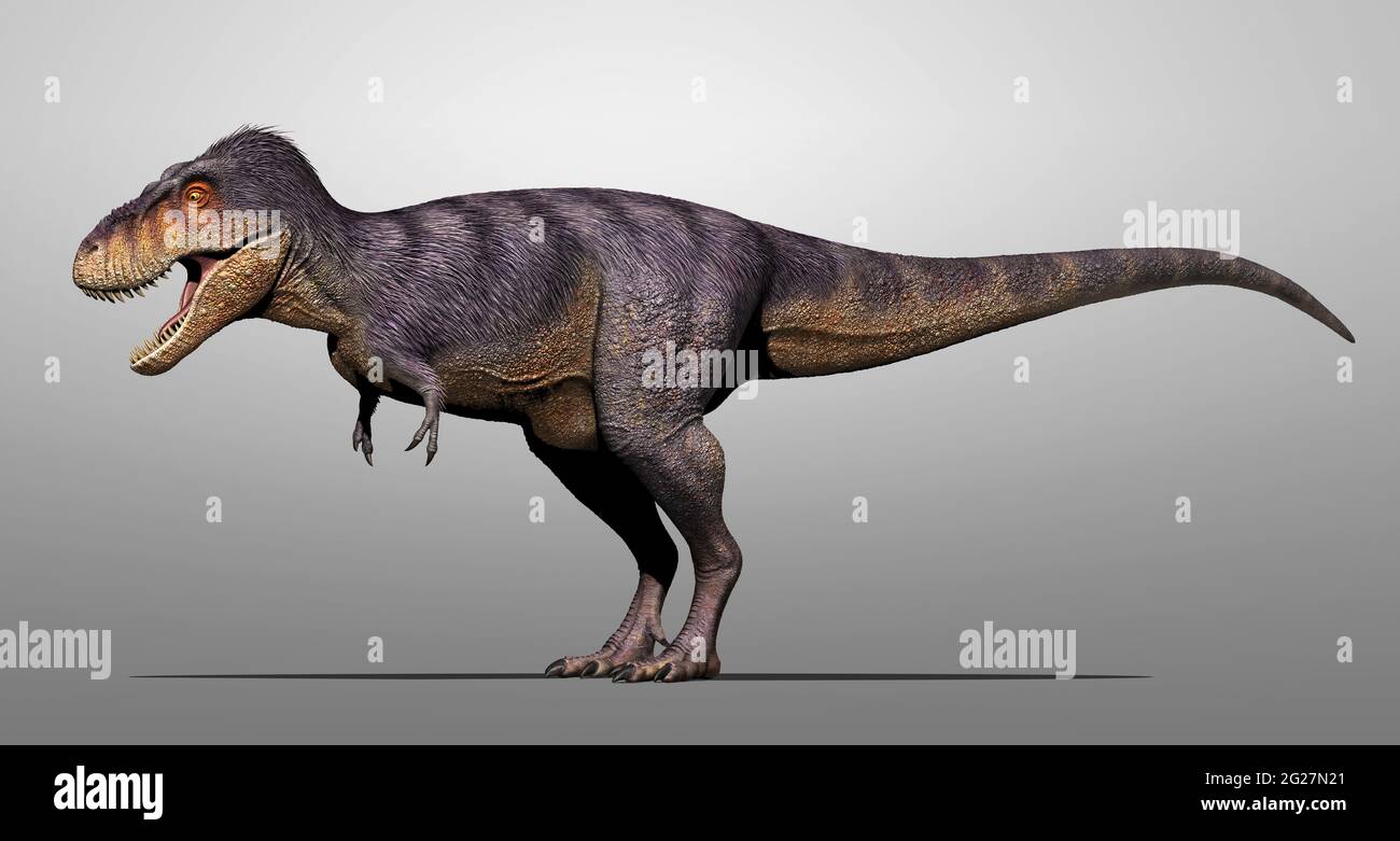 Tarbosaurus illustration Banque de photographies et d’images à haute ...