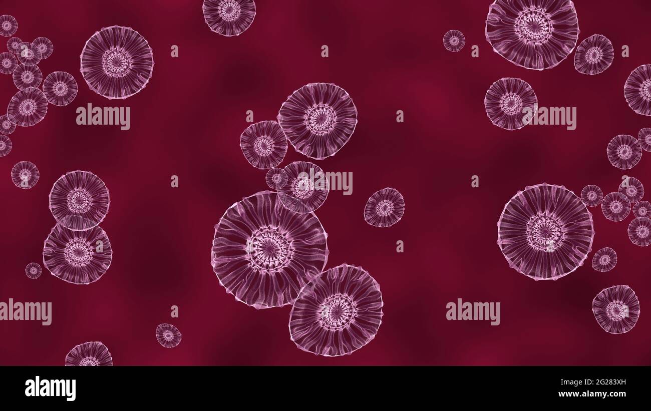 Vue microscopique des bactéries Burkholderia mallei Photo Stock - Alamy