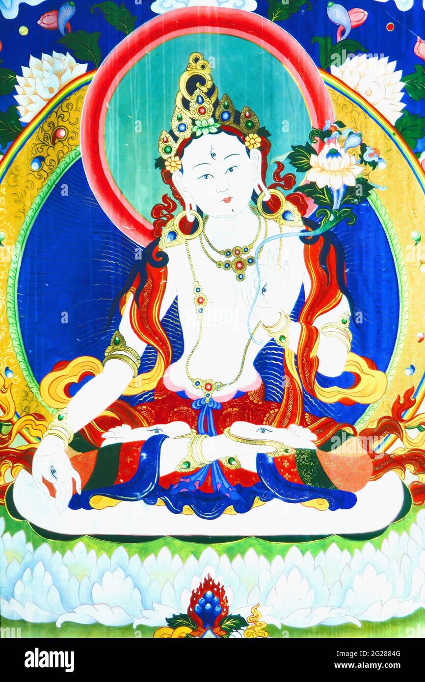 Manjusri blanc Banque de photographies et d’images à haute résolution ...