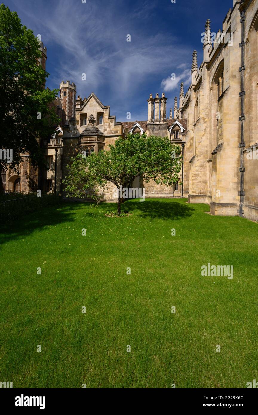 Cambridge trinity college Banque de photographies et d’images à haute ...