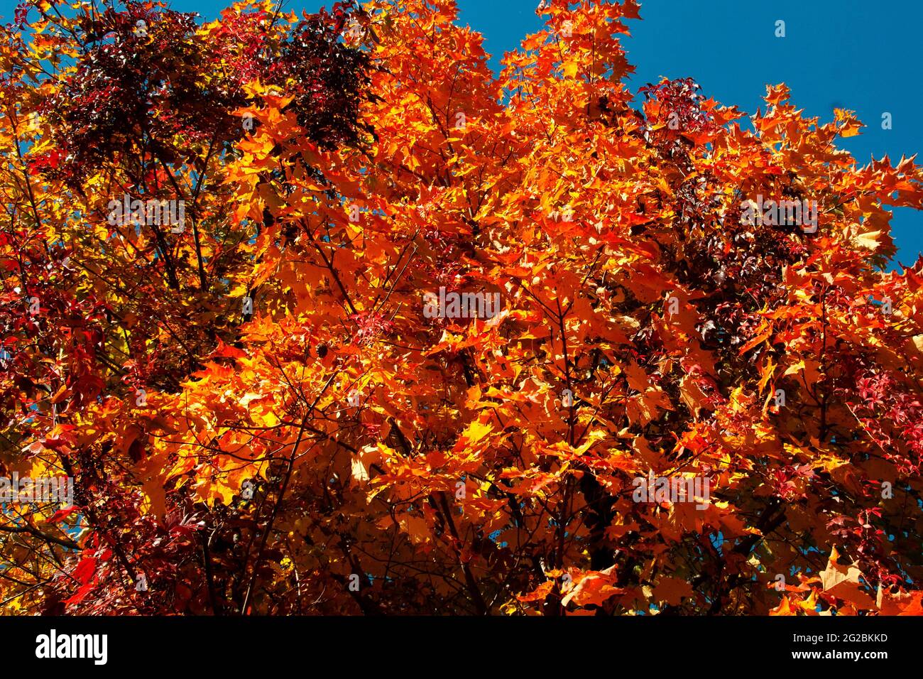 Son plein de couleurs Banque d'image et photos - Alamy