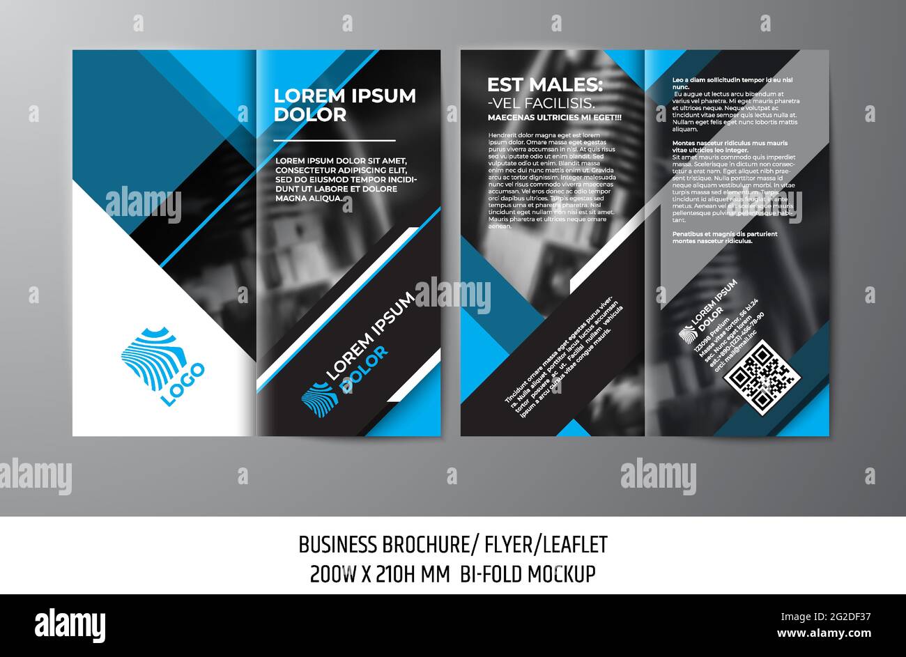 Brochure commerciale ou conception de prospectus. Modèle de brochure à ...