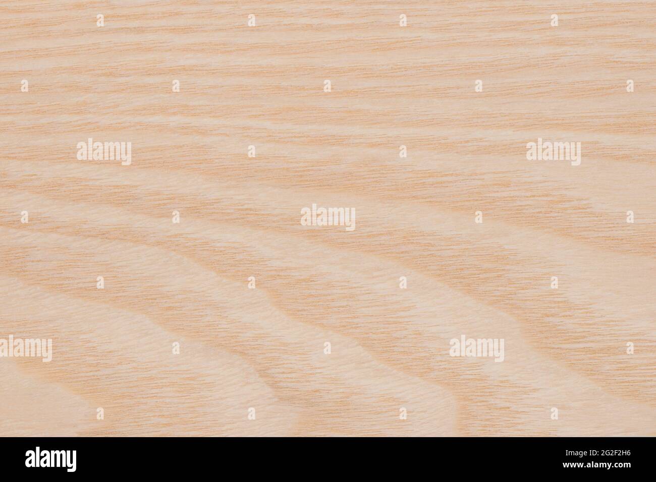 Texture de bois de frêne Banque de photographies et d’images à haute ...