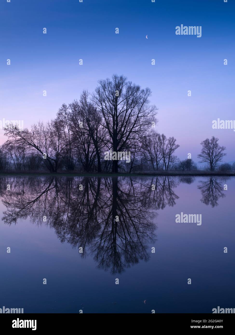 Plaine inondable dans les plaines inondables d'ohm Banque de ...