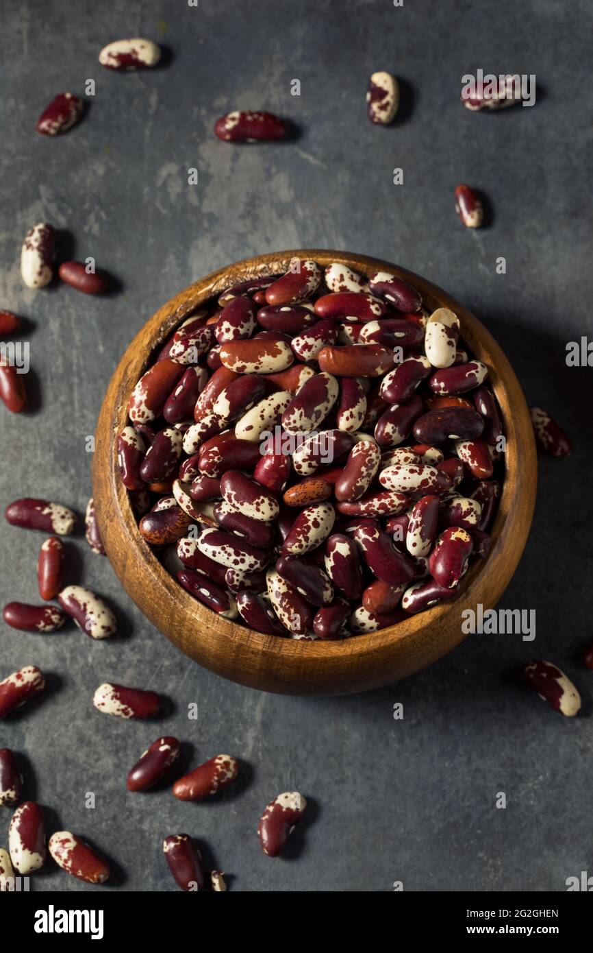 Rein de vache Banque de photographies et d’images à haute résolution ...