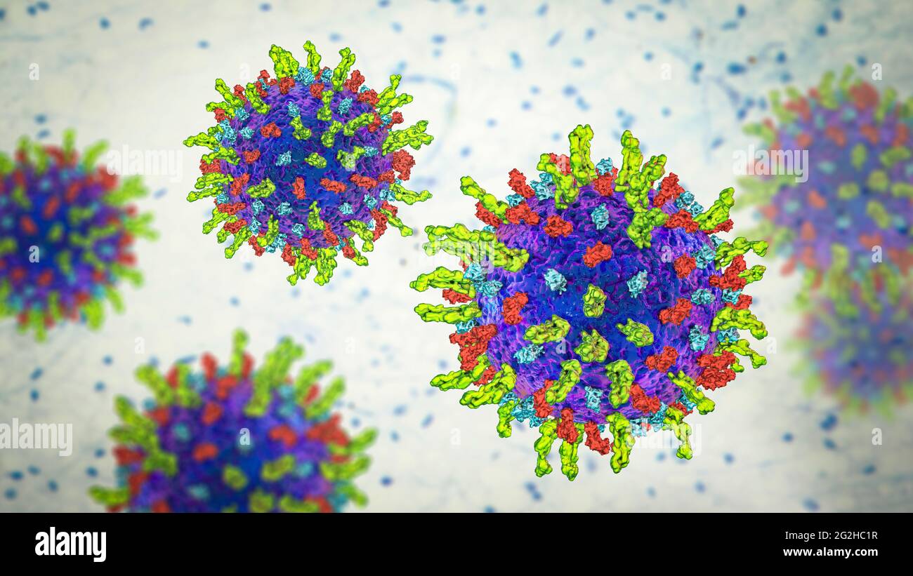 Herpes simplex virus 1 Banque de photographies et d’images à haute ...