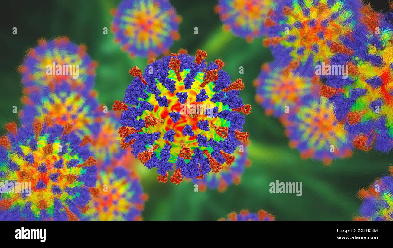 Virus de la rougeole, illustration Banque de photographies et d’images ...