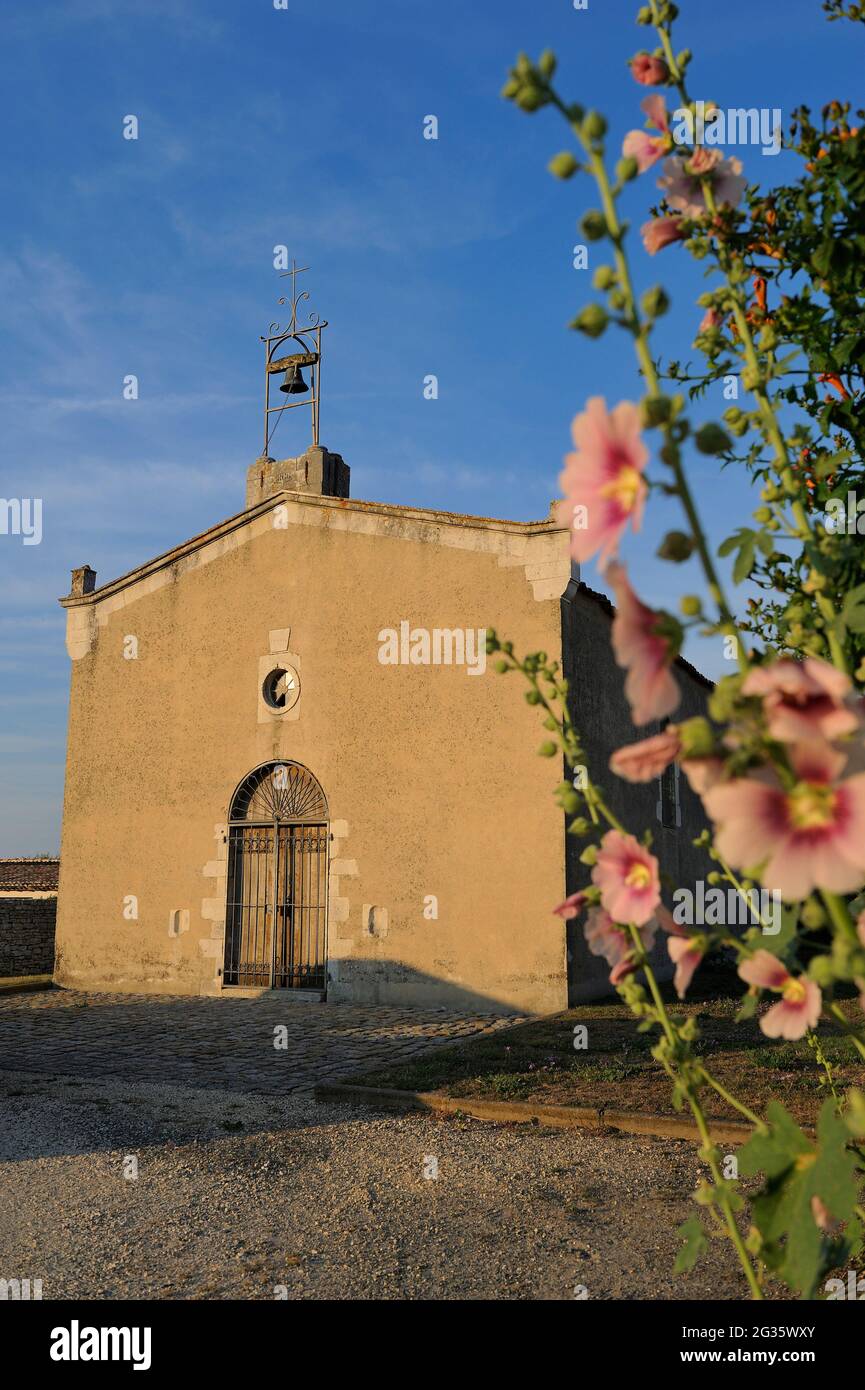 La noue Banque de photographies et d’images à haute résolution - Alamy