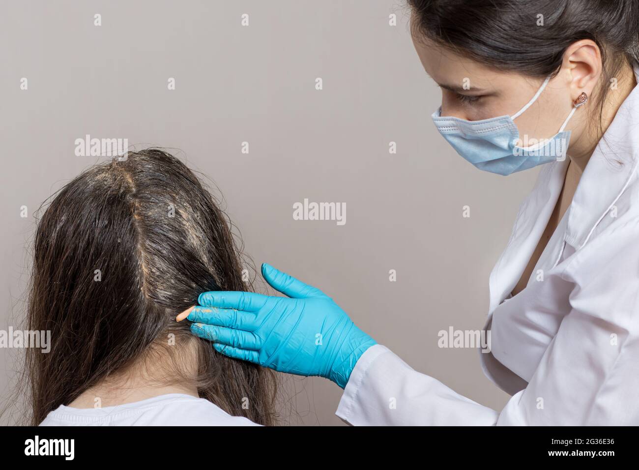 Un dermatologue ou un trichologue applique une herbe de pissenlits ou ...