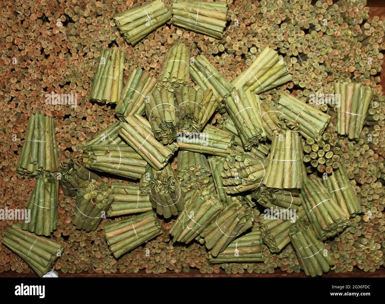 Production de beedis Banque de photographies et d’images à haute ...