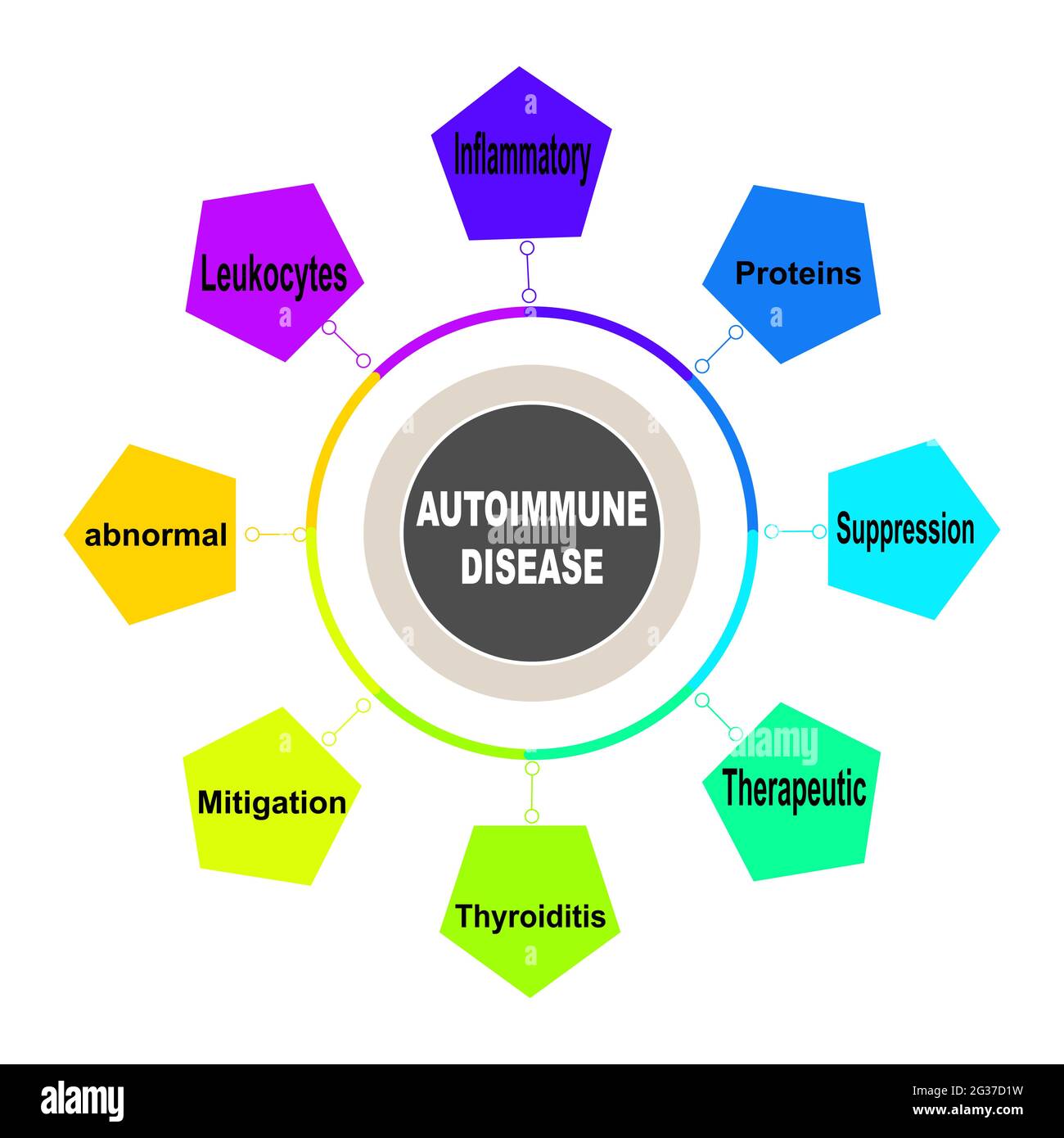 Maladie auto immune Banque d'images vectorielles - Alamy