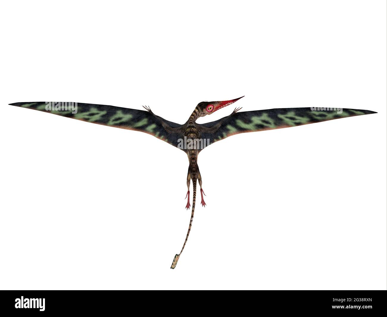 Flying pterosaur Banque de photographies et d’images à haute résolution ...