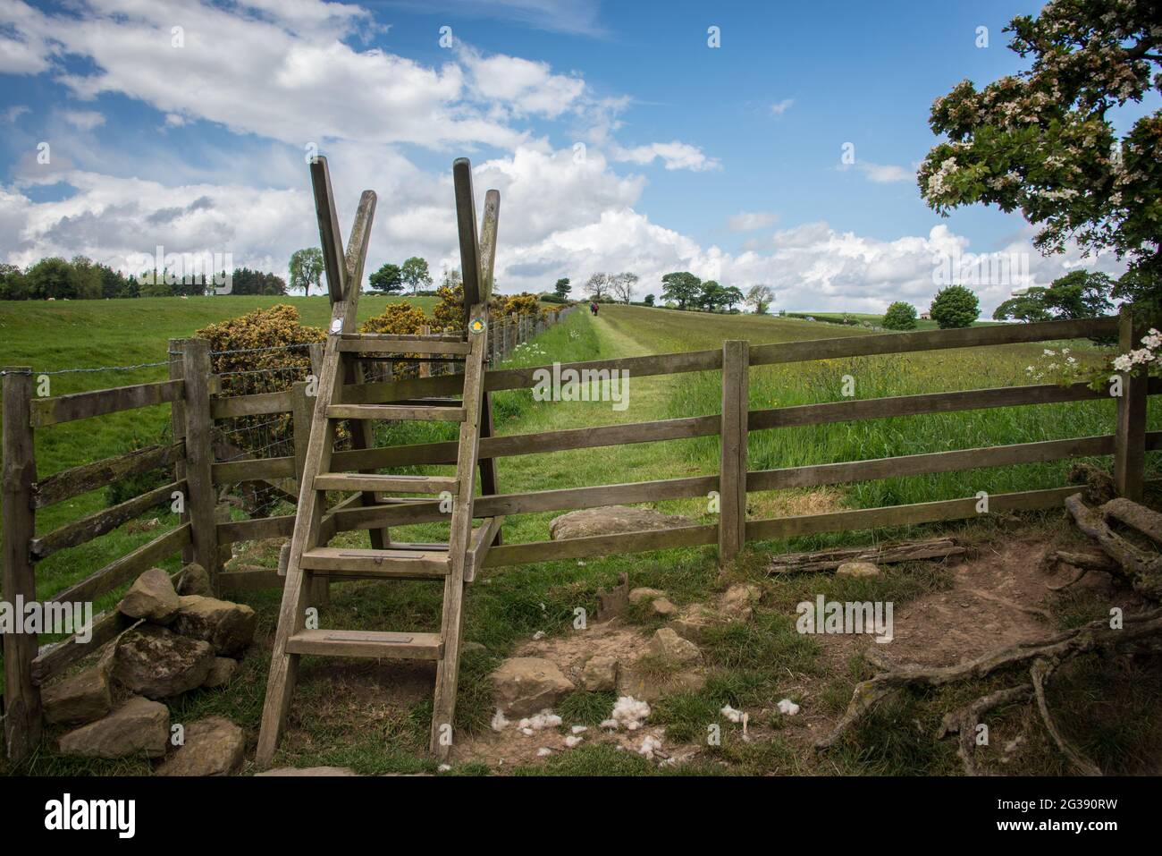 Les Stiles sont un moyen courant de traverser les pâturages le long de ...