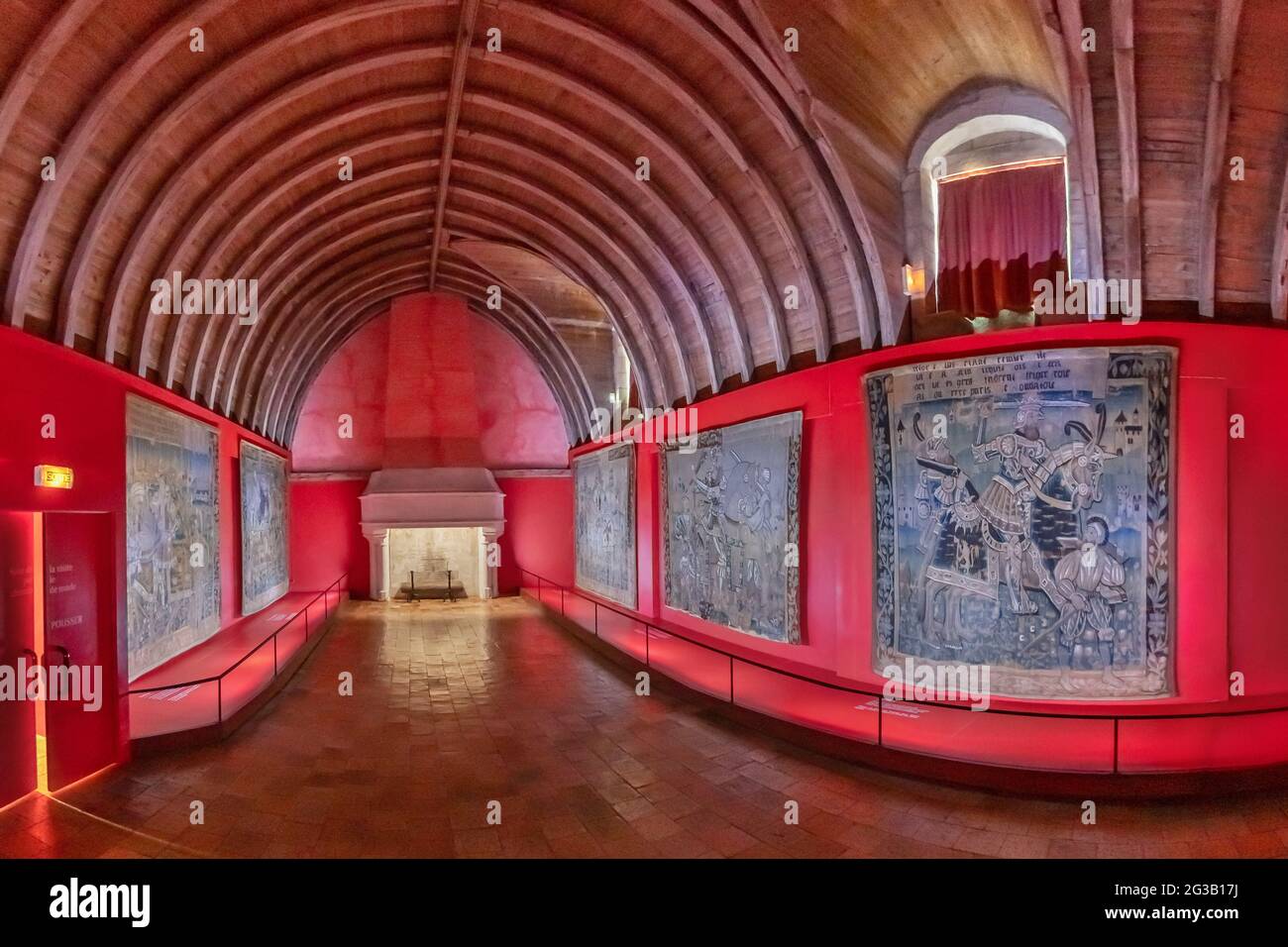 FRANCE - VALLÉE DE LA LOIRE - INDRE ET LOIRE (37) - CHÂTEAU DE LANGEAIS ...
