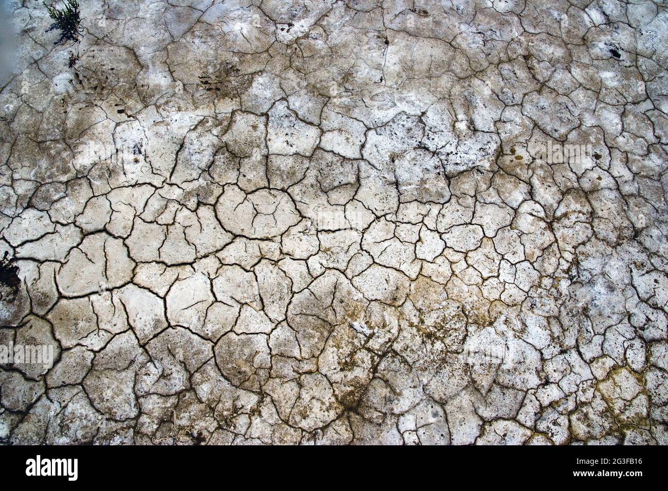 Crackled mud Banque de photographies et d’images à haute résolution - Alamy