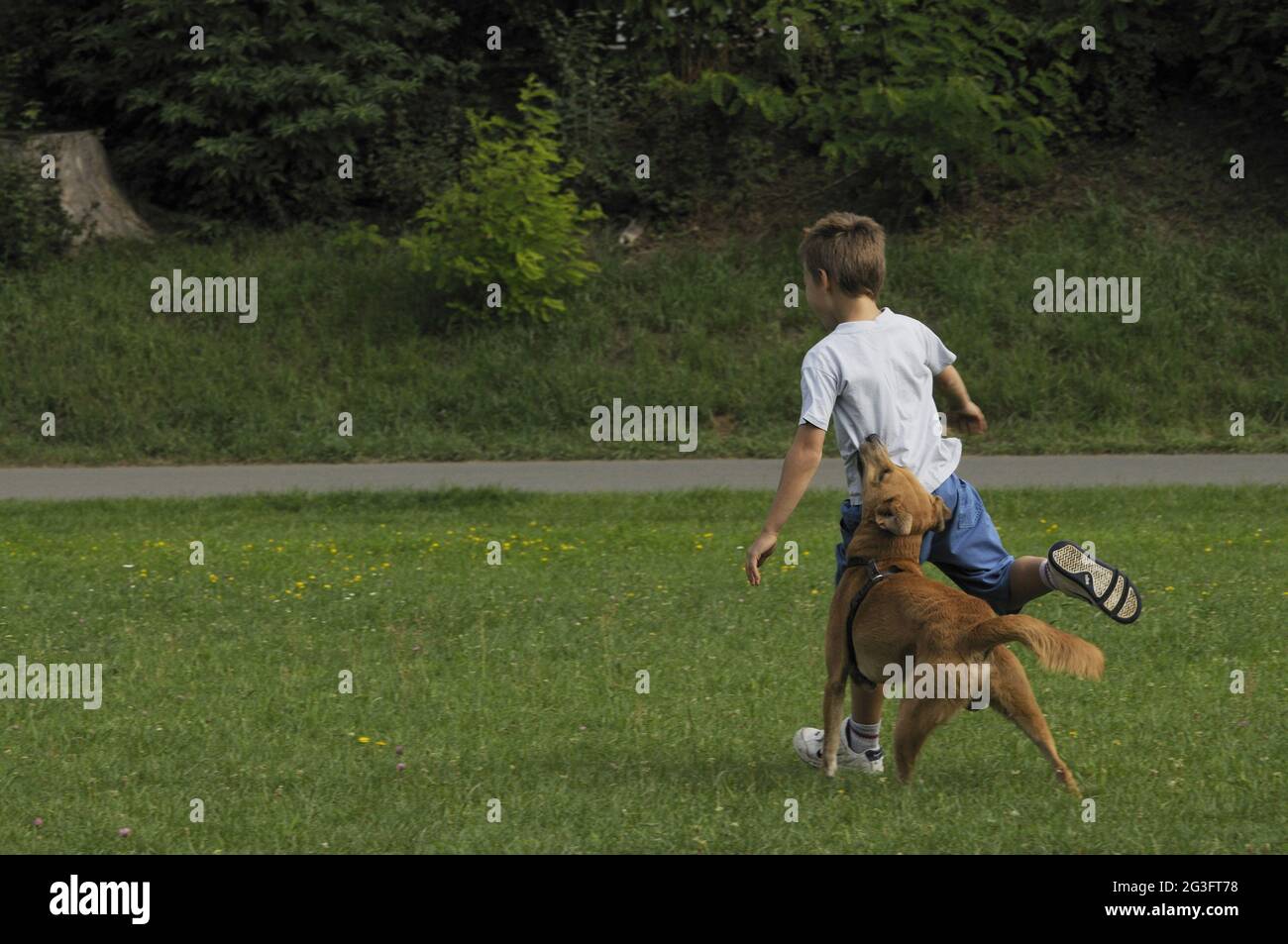 Chien et enfant Banque de photographies et d’images à haute résolution ...