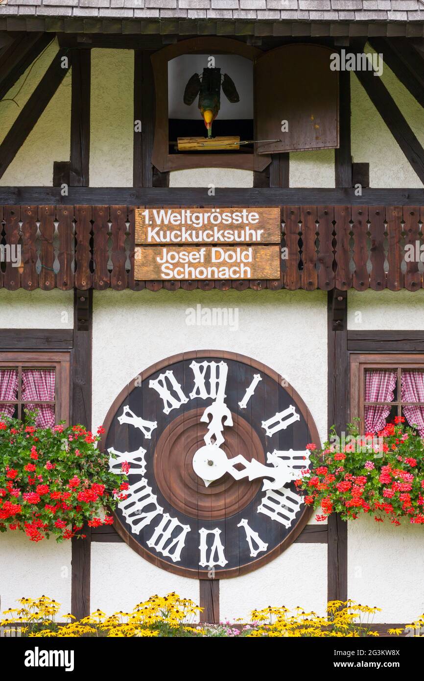 Triberg Cuckoo Clock Banque d'image et photos - Alamy