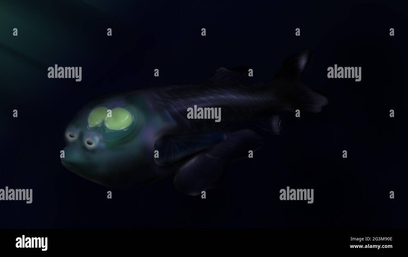 Yeux tubulaires Banque de photographies et d’images à haute résolution ...