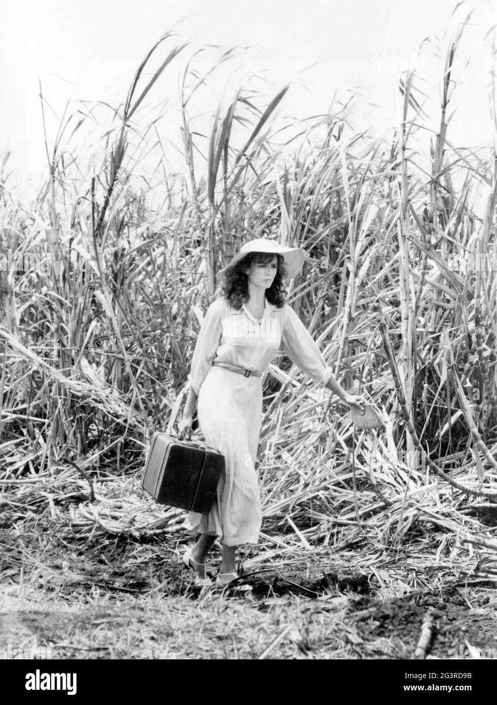 Rachel ward Banque de photographies et d’images à haute résolution - Alamy
