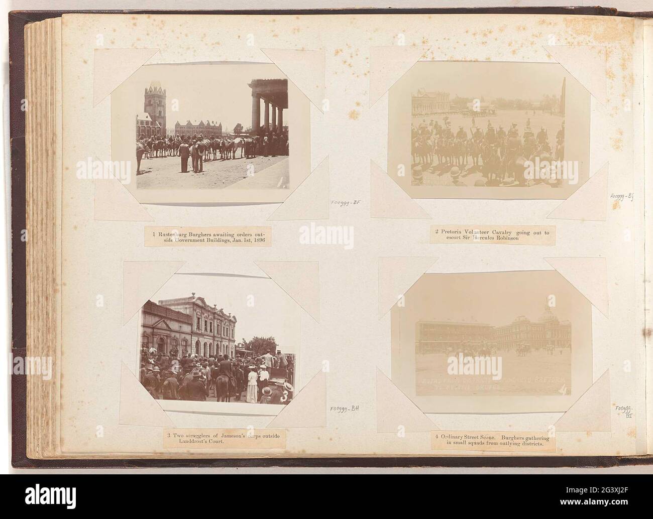 Hercules robinson Banque de photographies et d’images à haute ...