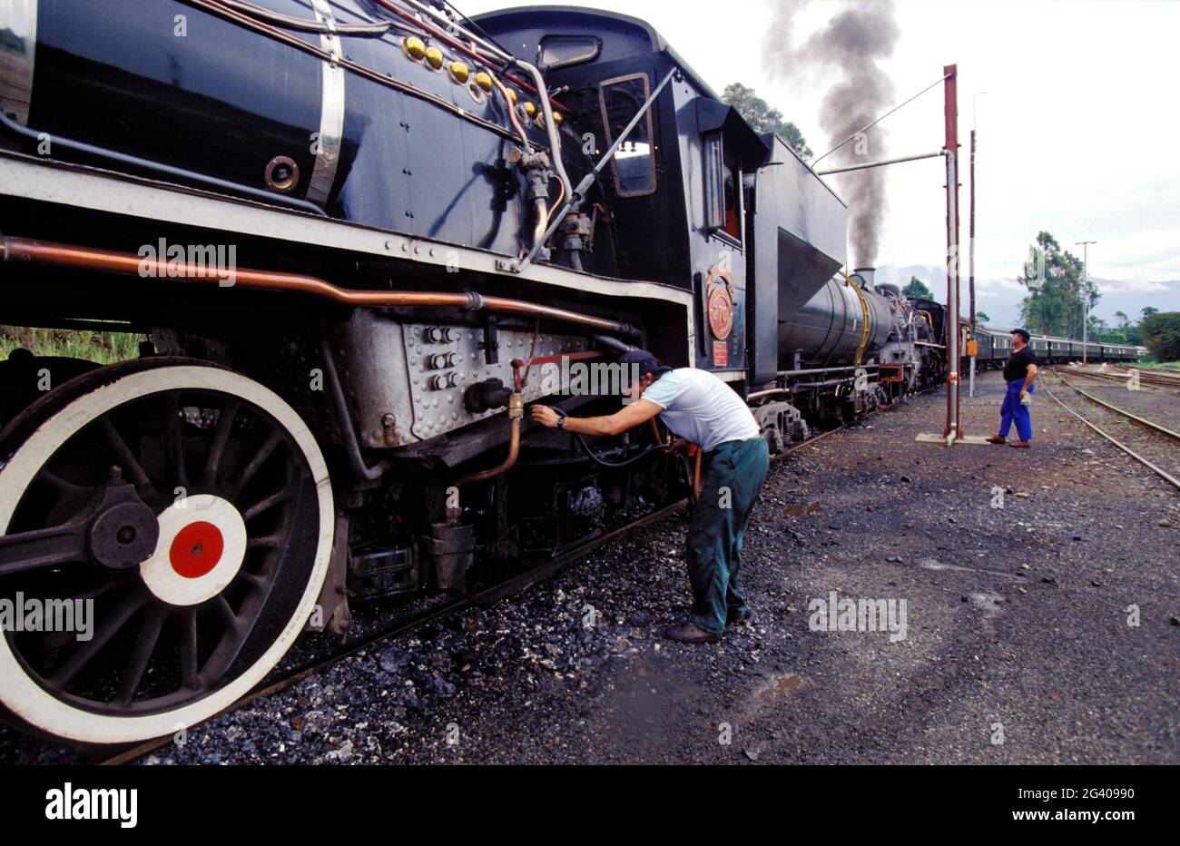 AFRIQUE DU SUD, LE TRAIN ROVOS (L'UN DES TRAINS LES PLUS LUXUEUX AU ...