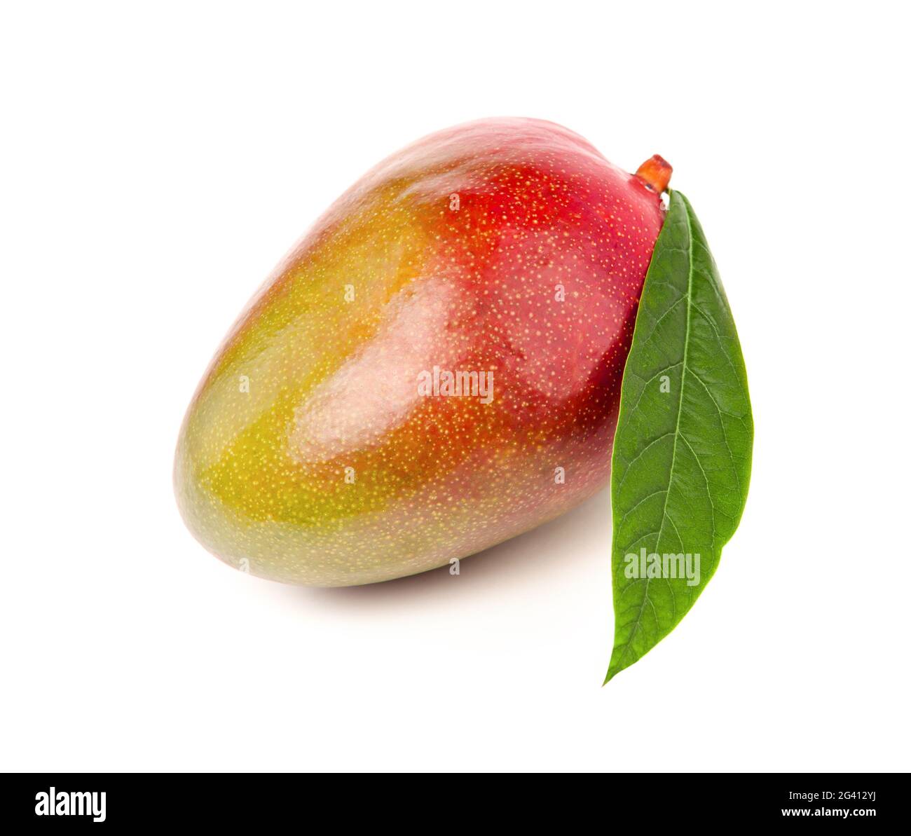 Mangue rouge Banque de photographies et d’images à haute résolution - Alamy