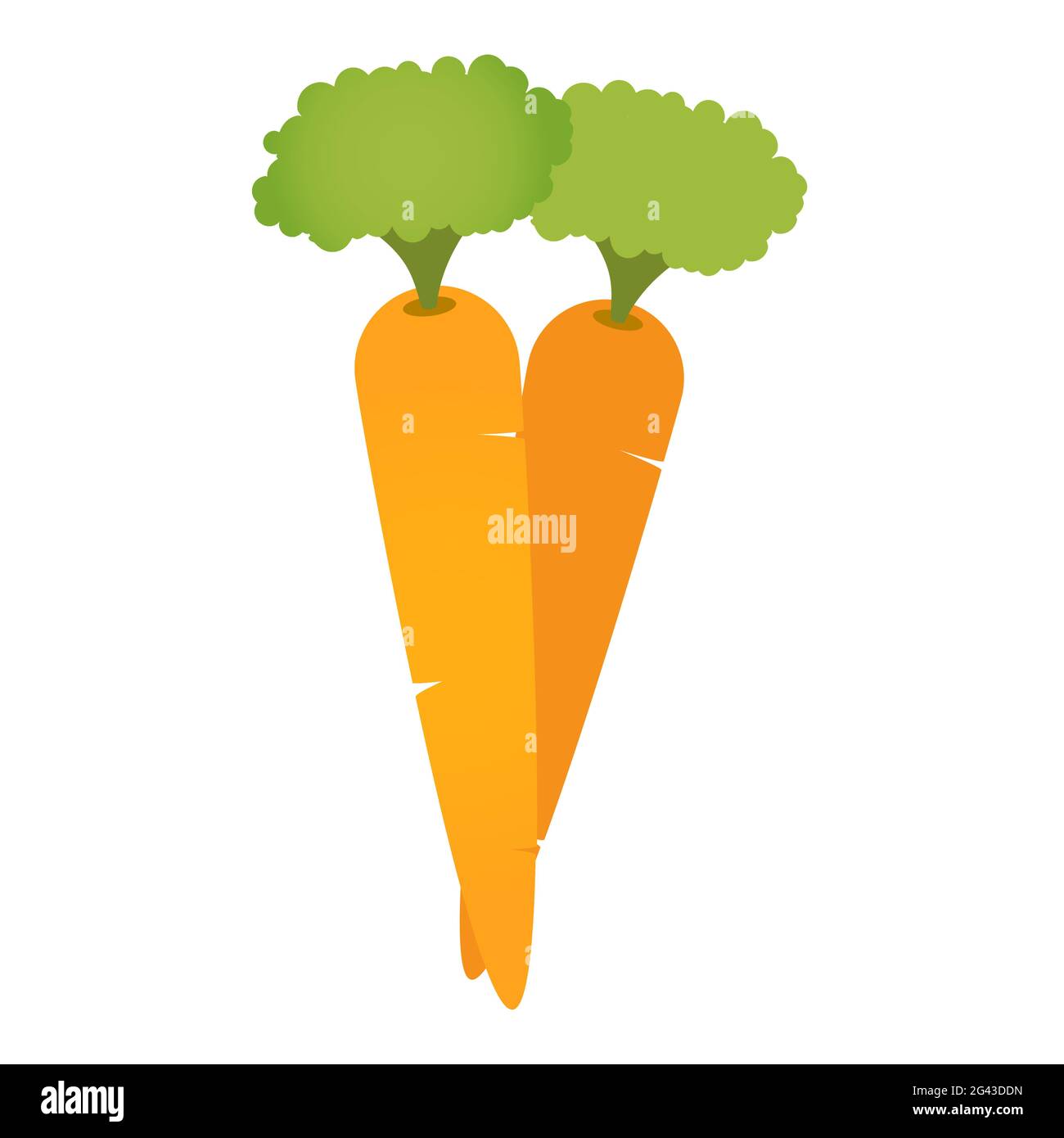 Carottes agricoles Banque d'images vectorielles - Alamy