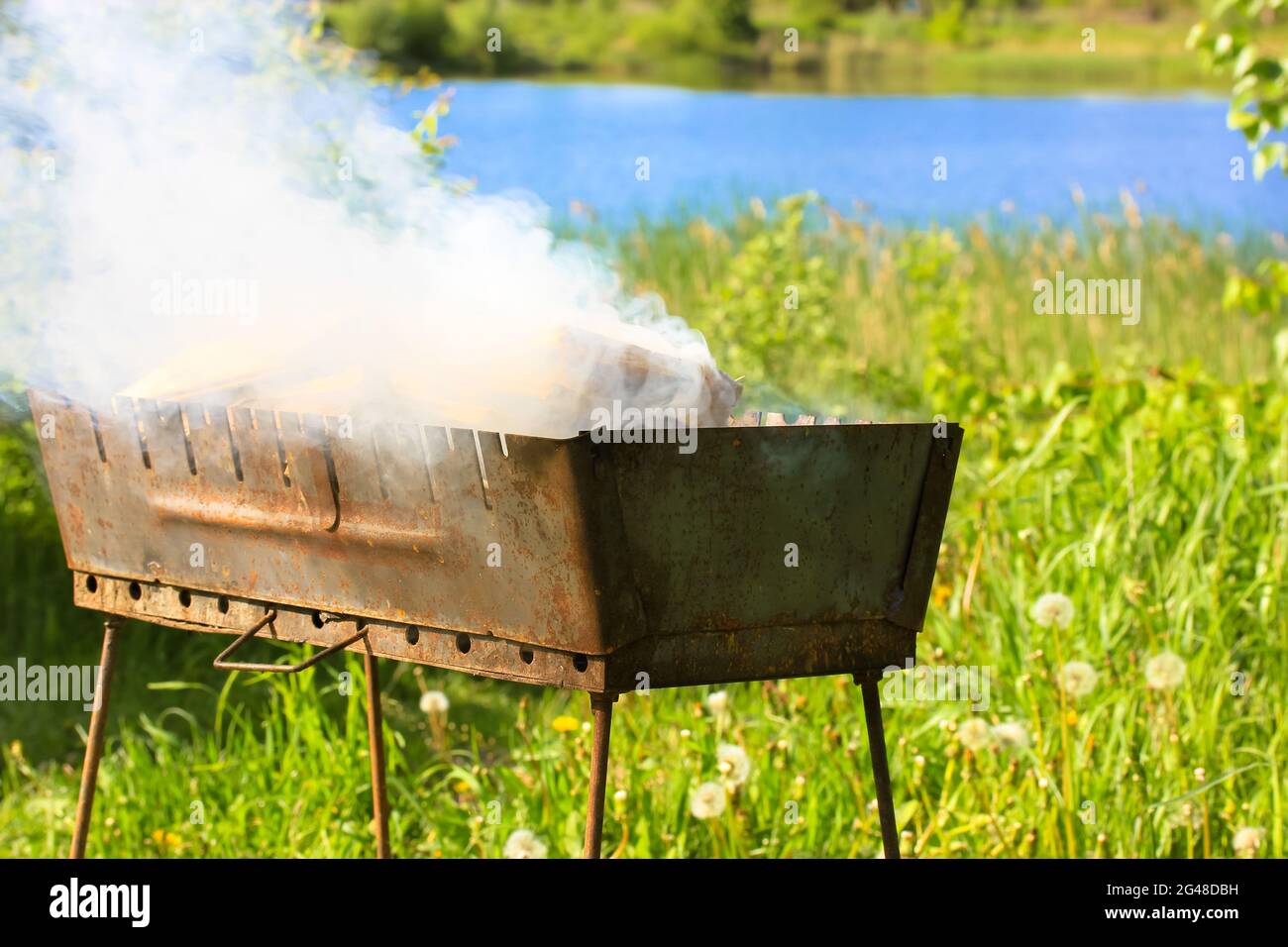 Barbecue fumeur, brazier dans le parc cuisine extérieure. Barbecue avec ...