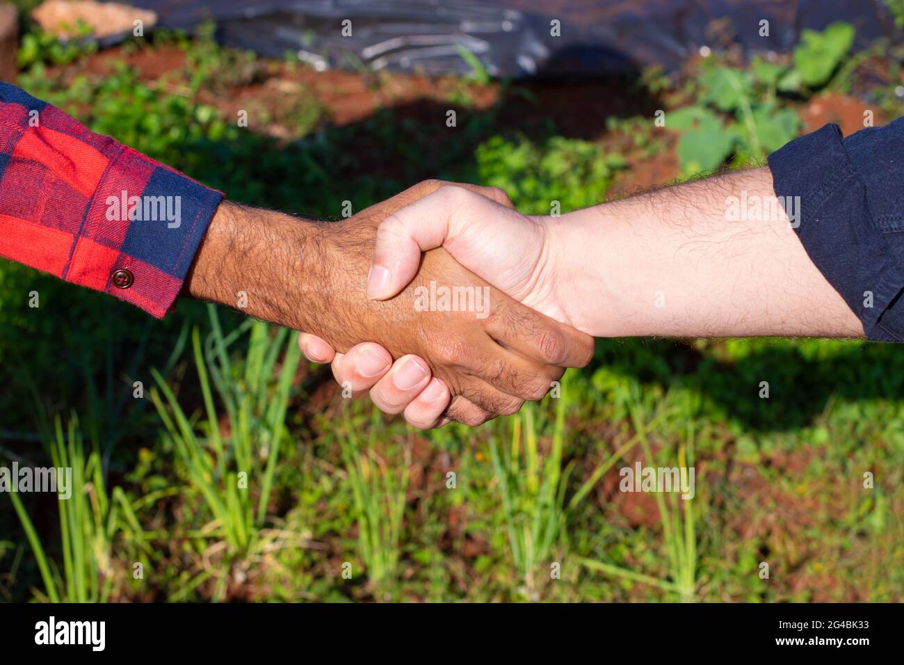 Poignée de main fermier Banque de photographies et d’images à haute ...