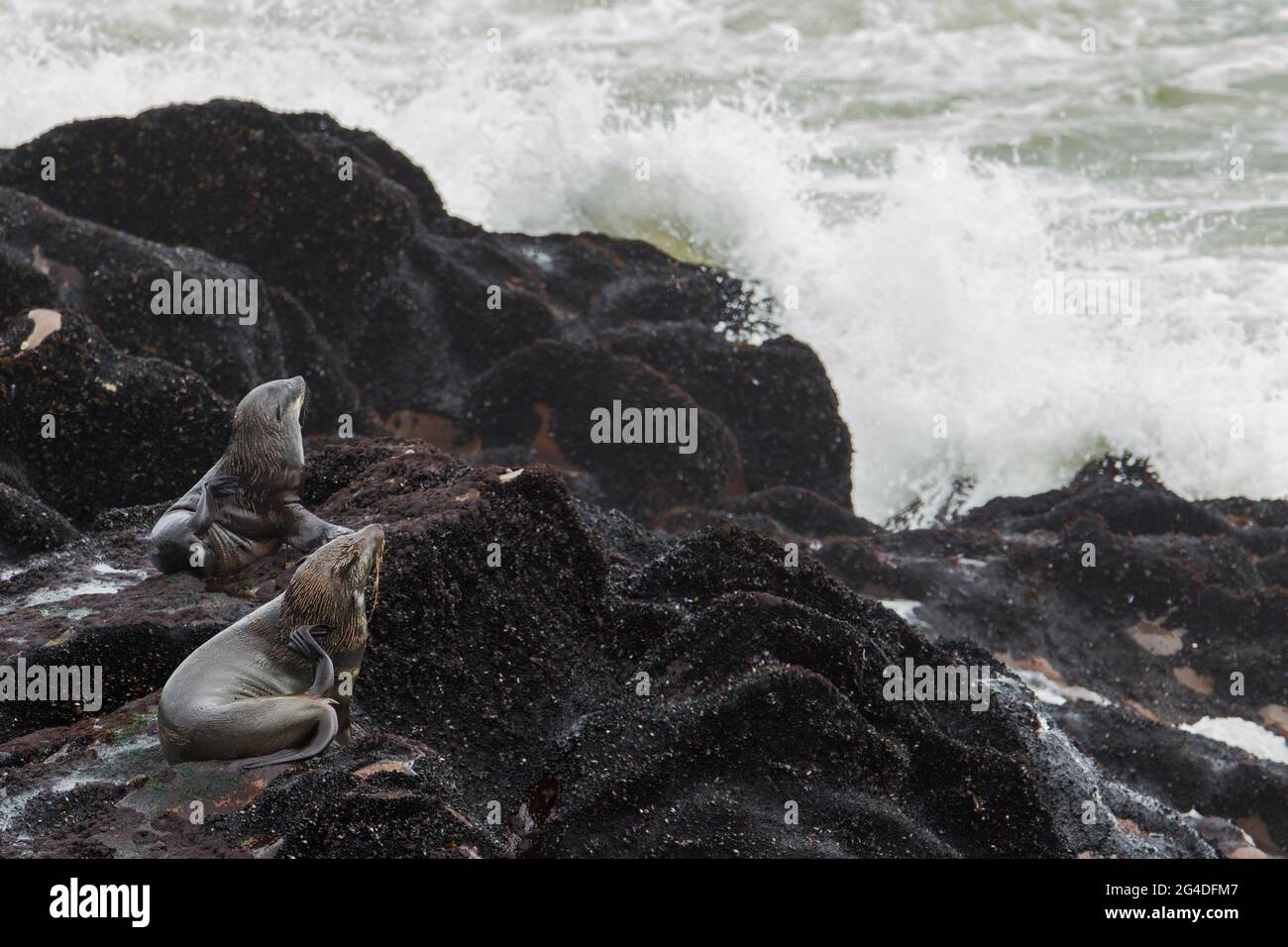 Dorob np Banque de photographies et d’images à haute résolution - Alamy
