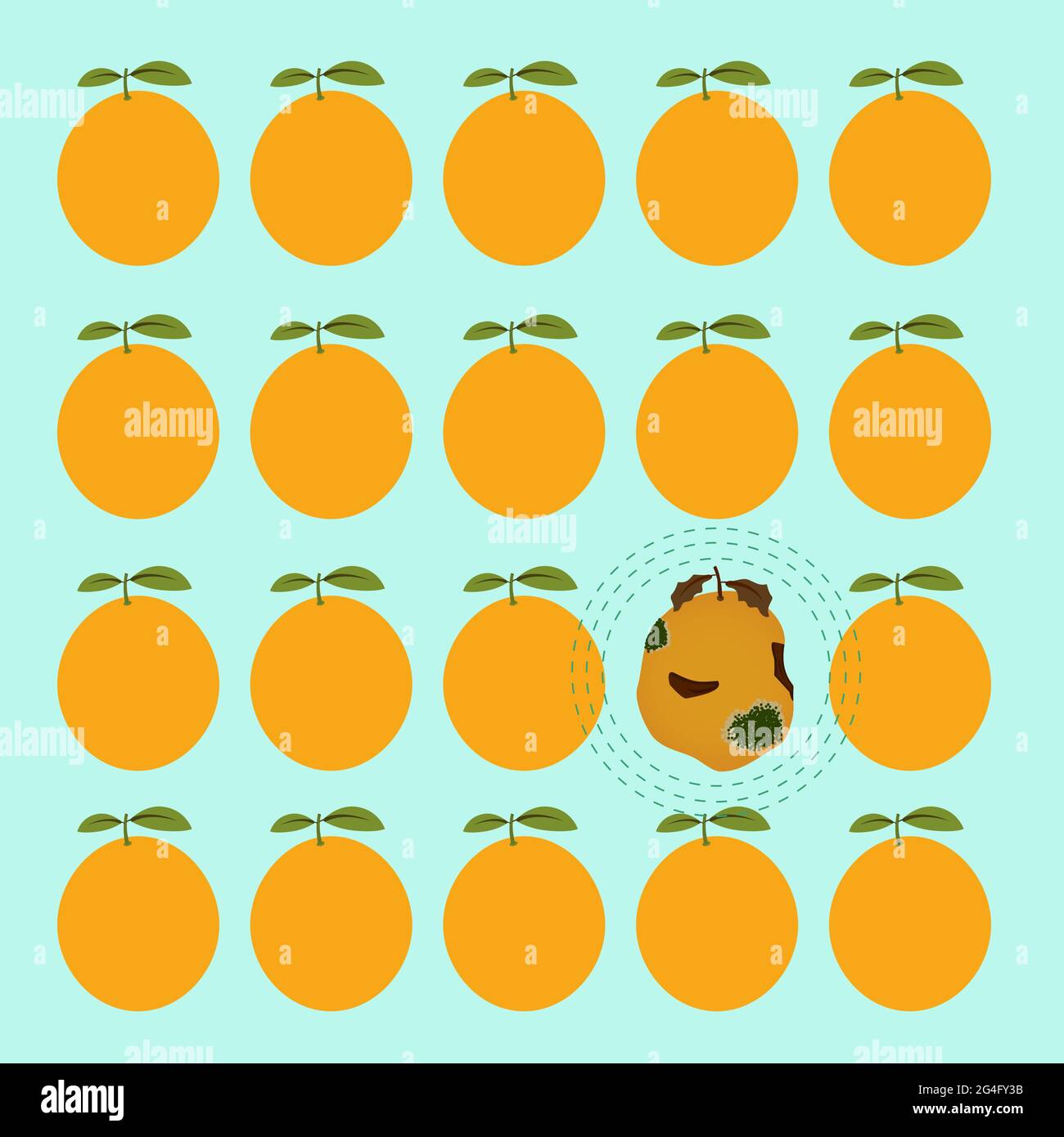 Orange Pourrie Banque d'image et photos - Alamy