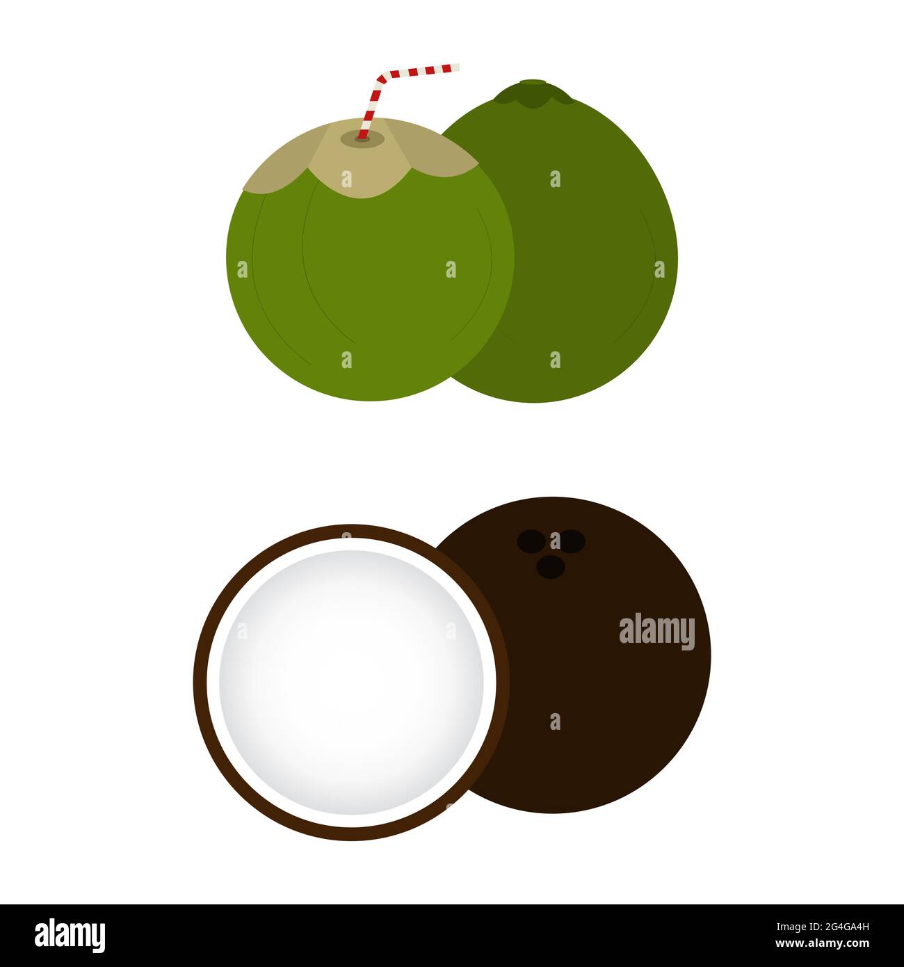 Deux sortes de noix de coco. Vert et marron. Noix de coco entières et ...