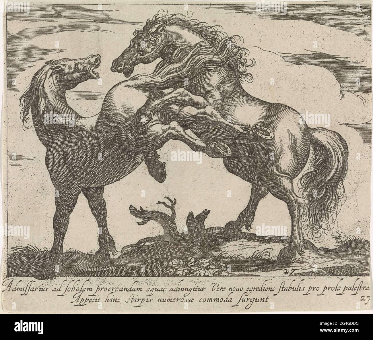 . Paysage avec deux chevaux, les deux à gauche. Un cheval boks et l ...