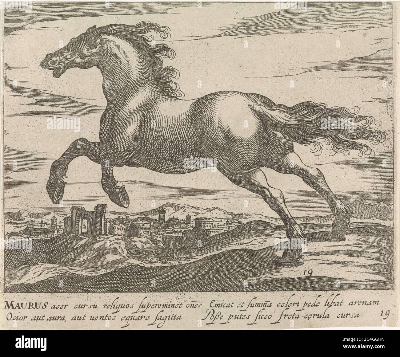 . Paysage vallonné avec cheval galopant, utilisé à gauche. Dans la ...