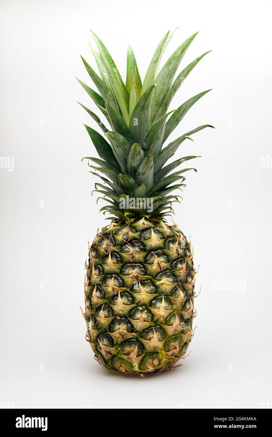 Ananas vert Banque de photographies et d’images à haute résolution - Alamy
