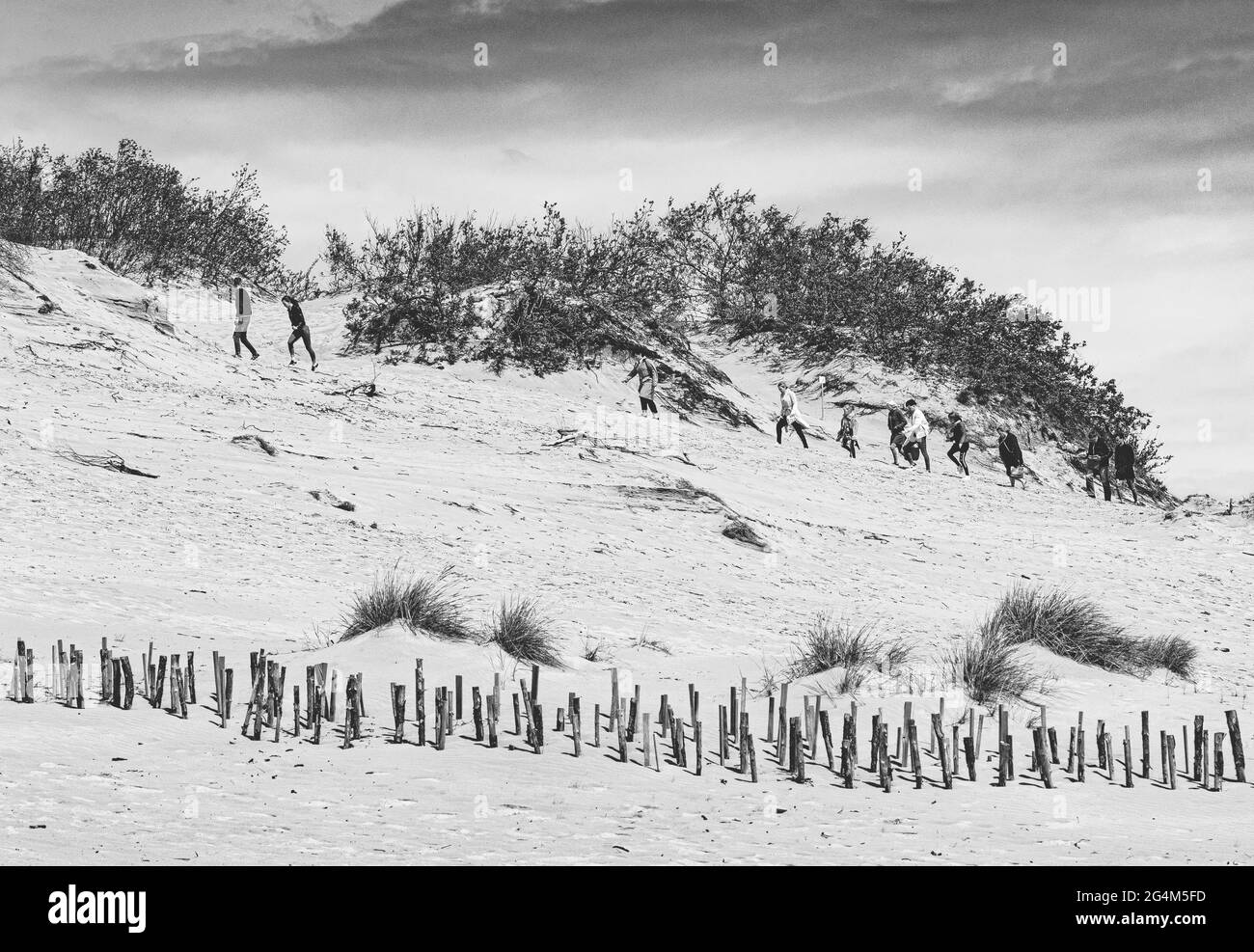 Plage dunes panoramique Banque d'images noir et blanc - Alamy