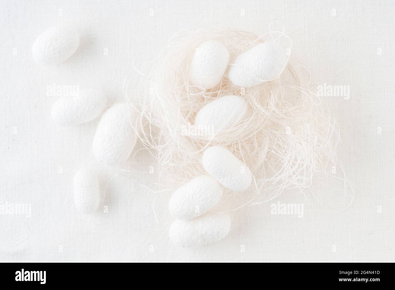 arrière-plan avec des cocons de soie la chenille de ver de soie de race ...